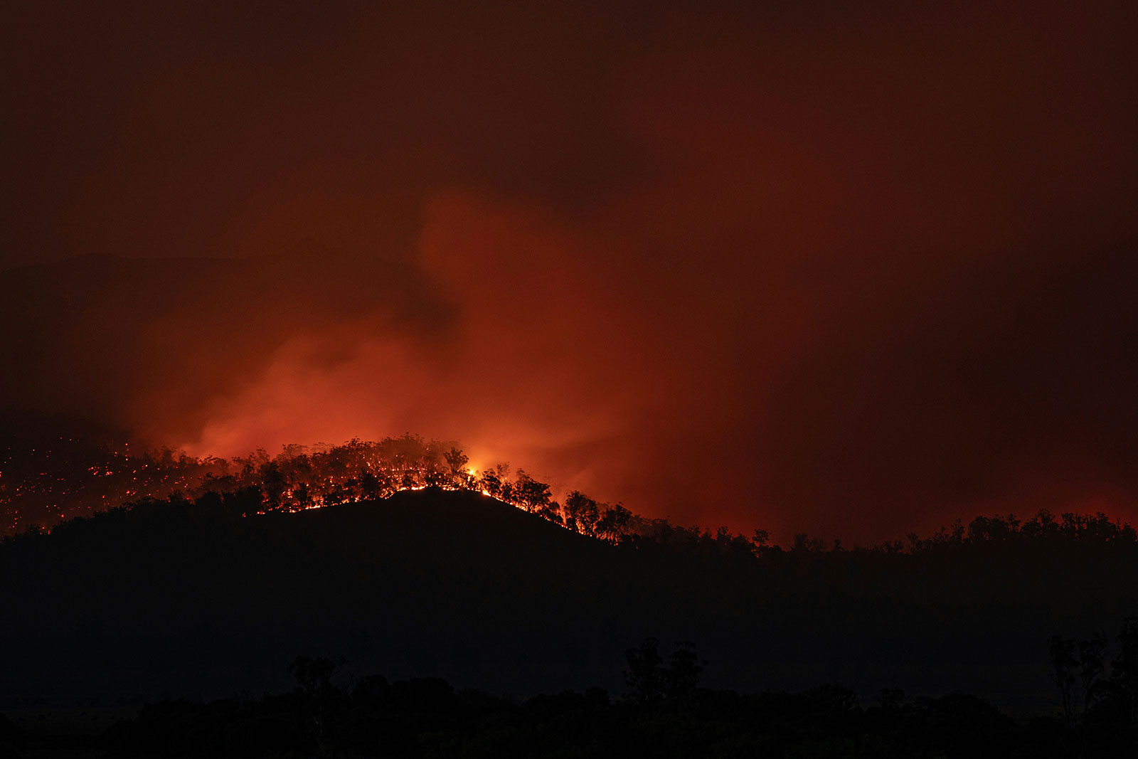 Flame Tree Enviro Expert consulting services in ecology and bushfire ...